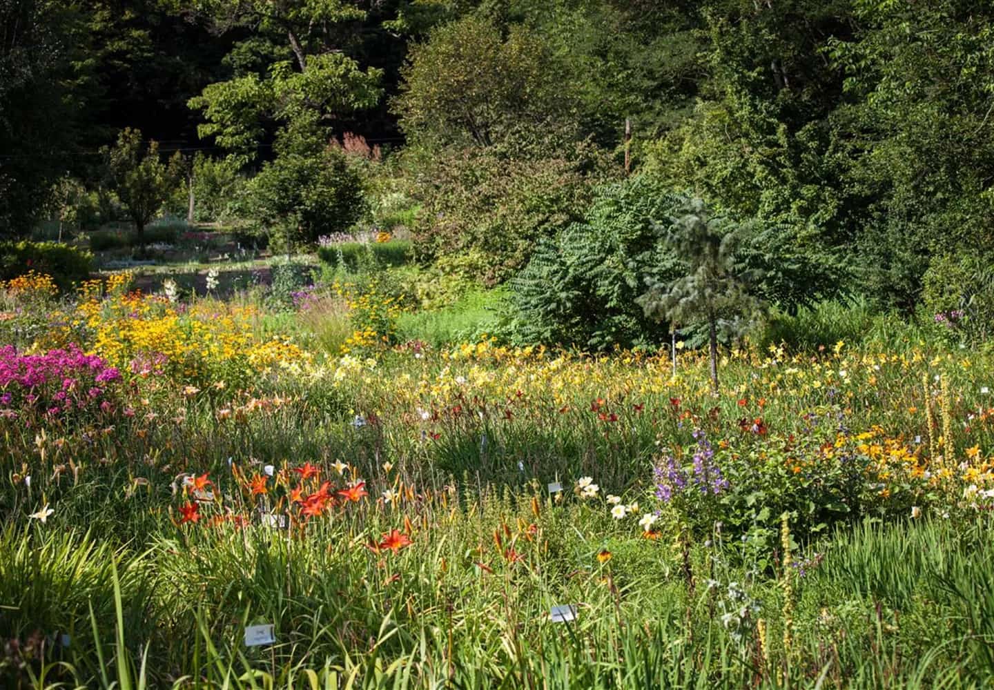 Der Paradiesgarten - Ein Blütenmeer auf über 15.000 m²